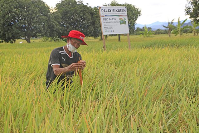 Bringing Modern Technologies Closer To Rice Farmers Prri